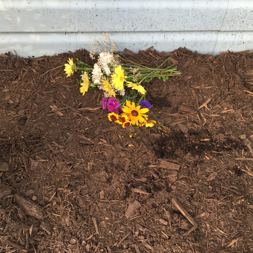 God Will Carry Us Through Every Death: Worshiping with Children on Ash ...